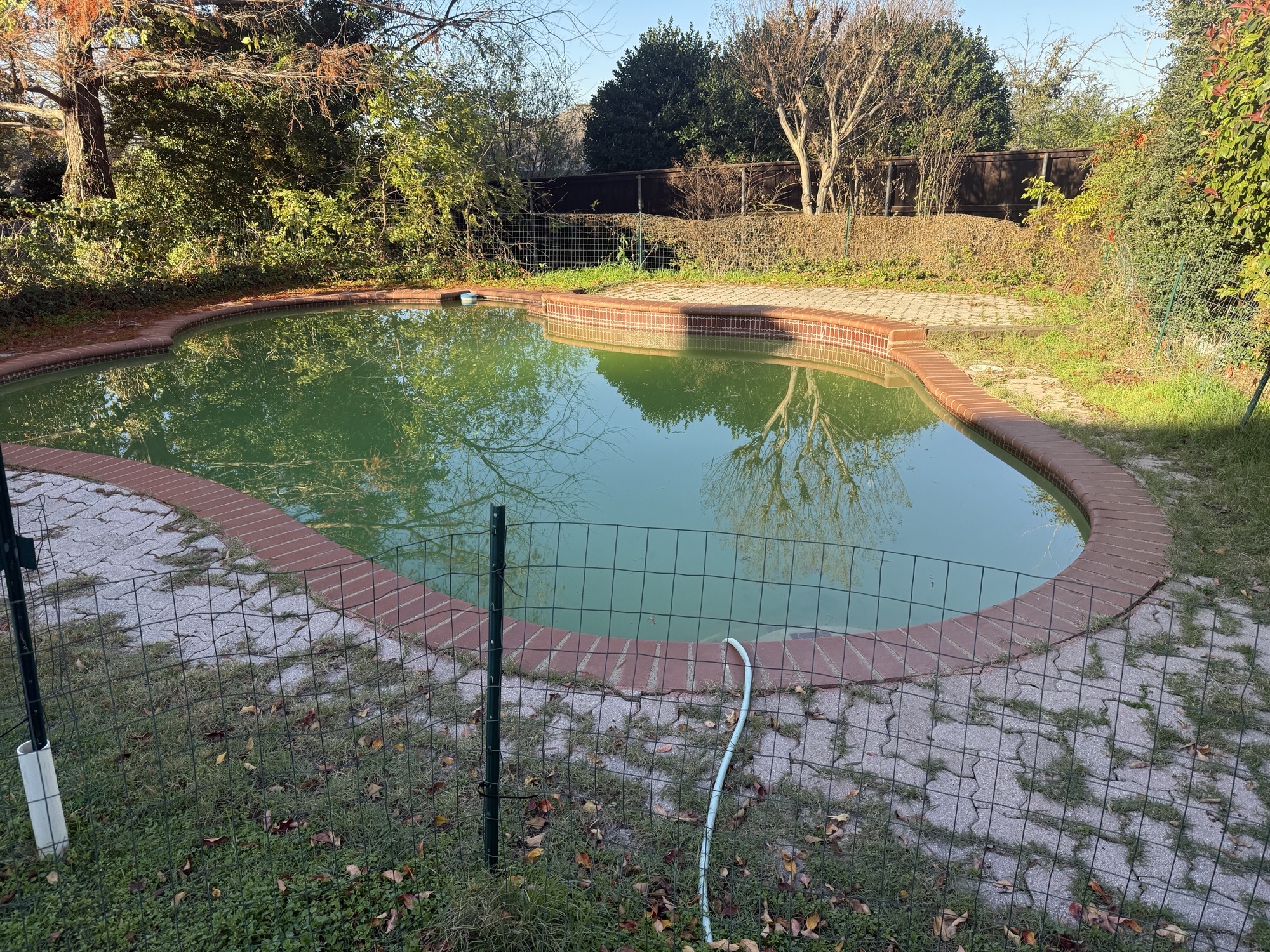 Pool Removal Company in DFW | Backyard Makeover Experts